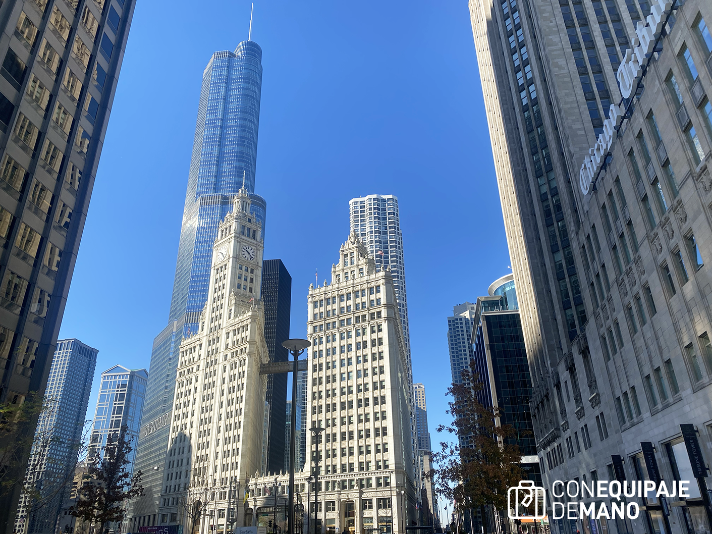 Qué ver en Chicago